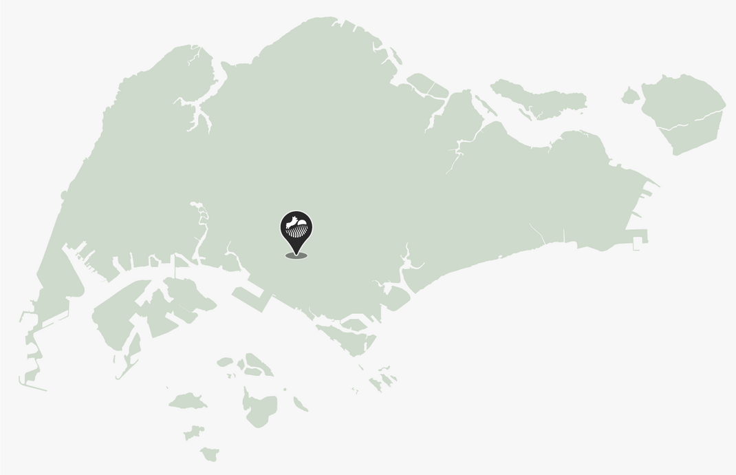 Contact Page – Plain Meredith